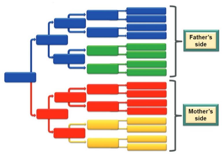 color coding family tree - Sioux Valley Genealogical Society